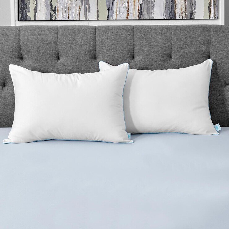 Allerease 舒適纖維枕 2入組 50公分 X 71公分 | Costco 好市多