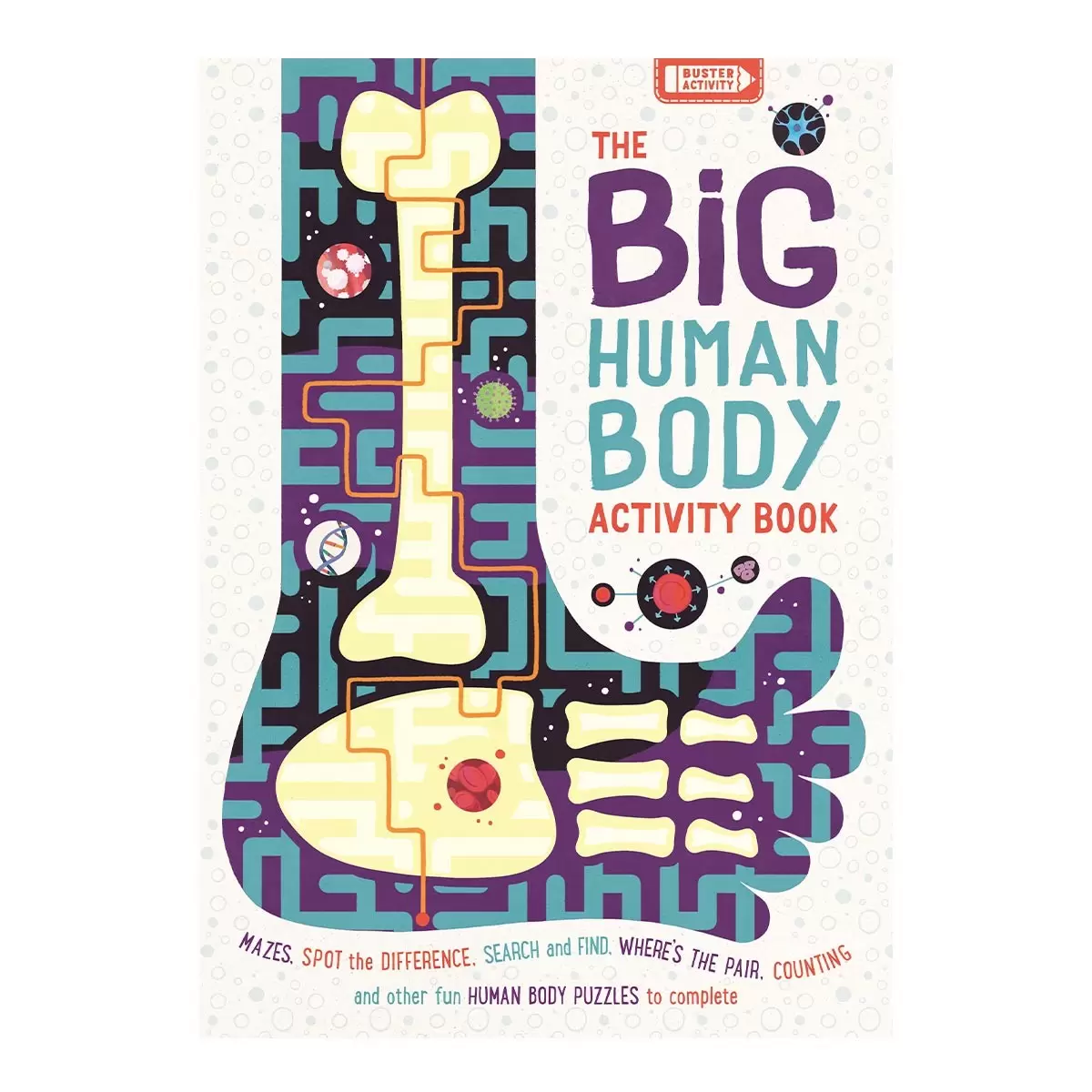 The Big Activity Book 外文書 The Big Human Body #134666-HUM｜Costco好市多必買推薦