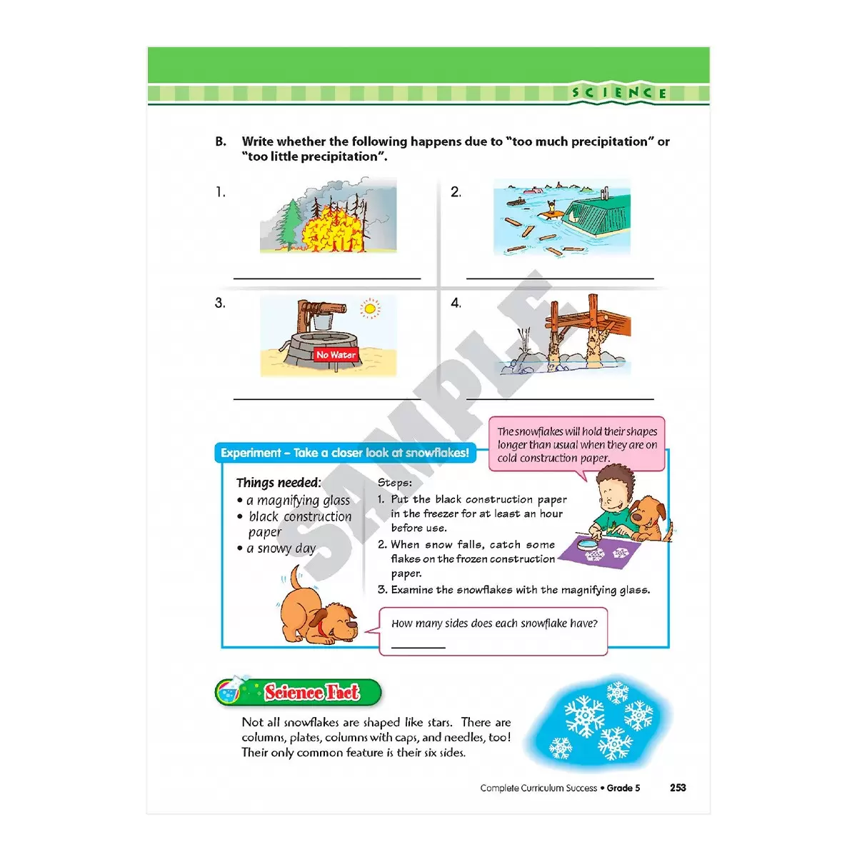 Complete Curriculum Success 英文作業書 外文書 Grade 5 #1619816-5｜Costco好市多必買推薦